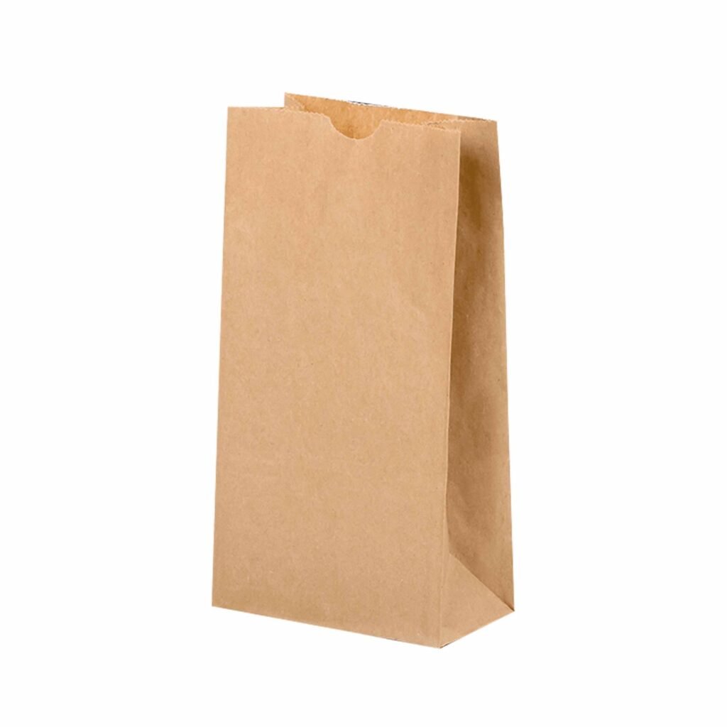 Brown Paper Bag Size 6 | Eco-Friendly Kraft Packaging - Tarpak